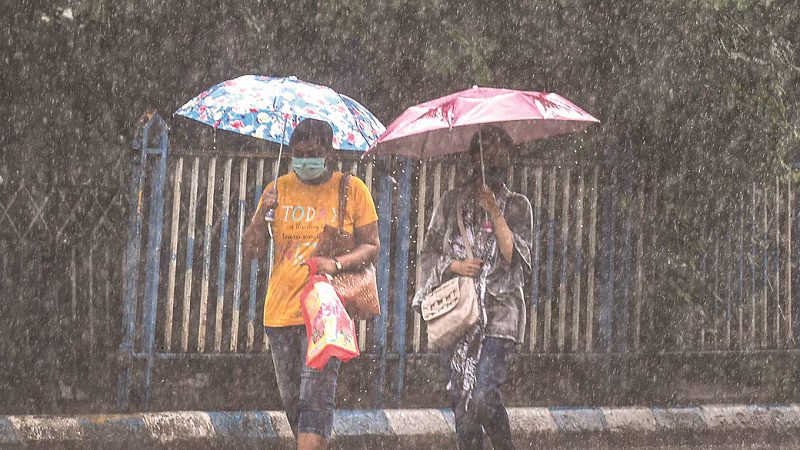 jharkhand-barish-झमाझम बारिश से भीगी राजधानी, वज्रपात से हुई 5 बकरियों ...