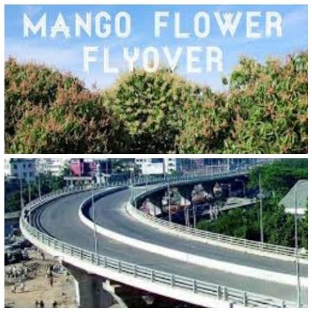 Jamshedpur mango good news - मानगो में बनने वाले फ्लाइओवर को टाटा स्टील ...