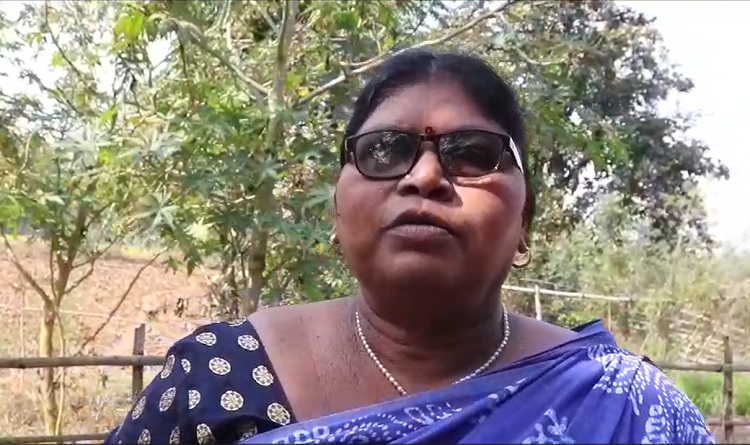 Saraikela padmshri chami murmu : पद्मश्री पुरस्कार के लिए नामित होने से ...